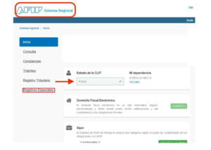 CUIT inactiva AFIP (2022) ¿Cómo resolverlo ONLINE Y FÁCIL?